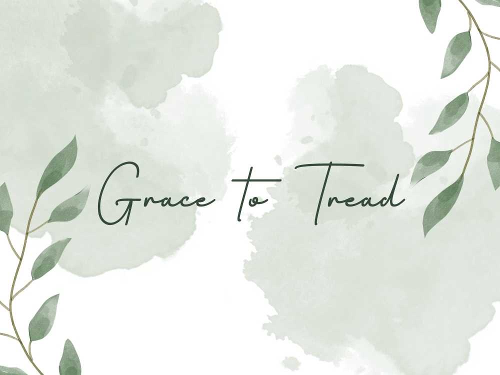 Grace To Tread The Petra Ministries Bangalore